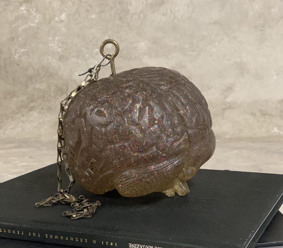 Anatomical Human Brain Model, Stunning Resin Display for Office Decor ...