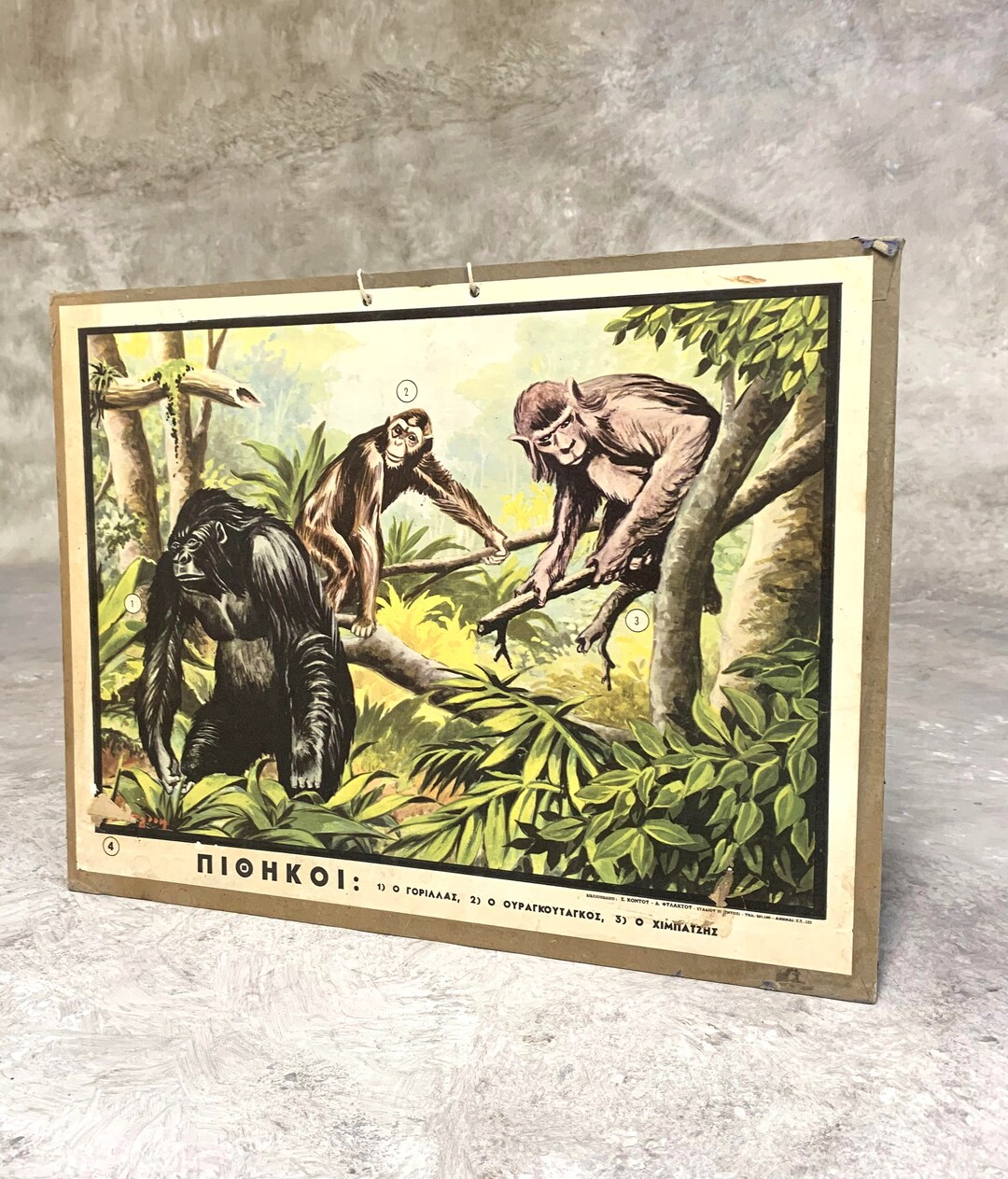 Vintage Monkeys School Chart: Original Cardboard Print, Kids Room Decor ...