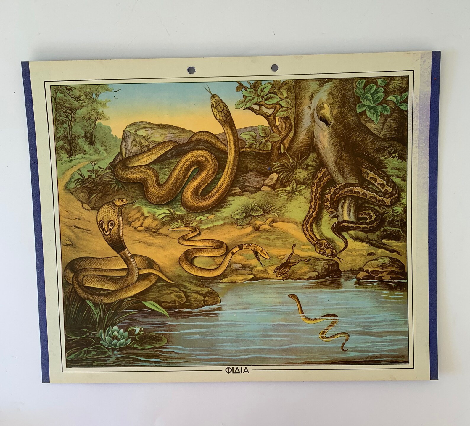 Snakes School Print N.O.S Original Cardboard School Chart - Etsy