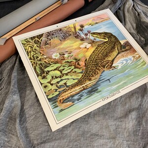 Crocodile School Print N.O.S, Original Cardboard School Chart, Vintage ...