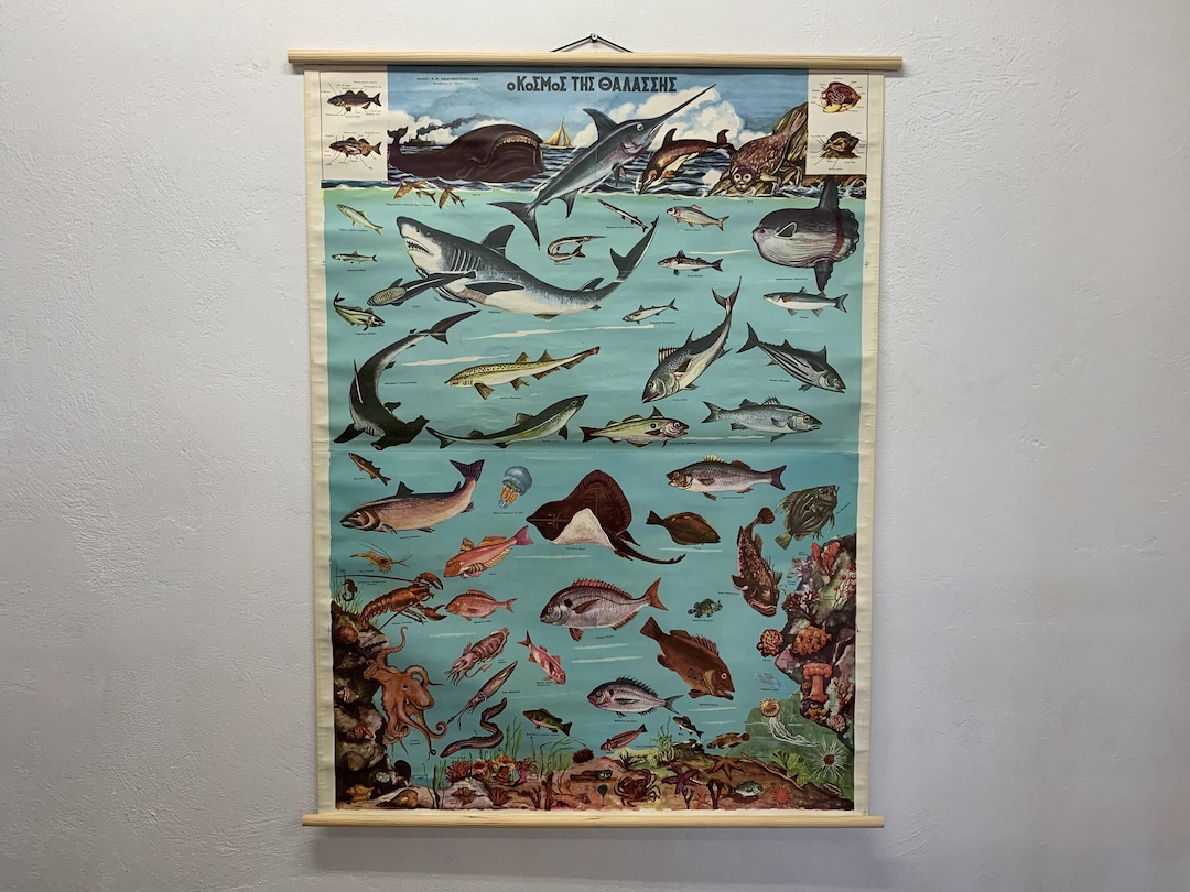 Sea World School Chart Vintage Seawater Fish Pull Down Greek ...
