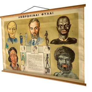 Human Races Chart, Anthropology Print, Ethnology Chart, Human School ...