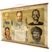 Human Races Chart, Anthropology Print, Ethnology Chart, Human School ...