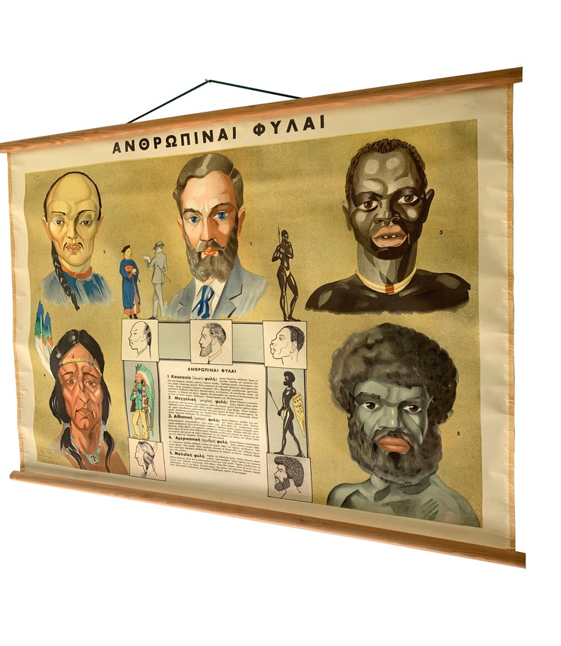 Human Races Chart Anthropology Print Ethnology Chart Human - Etsy