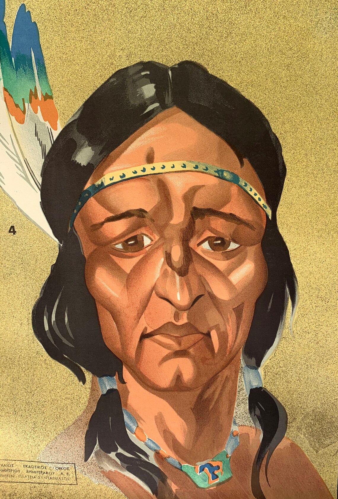 Human Races Chart Anthropology Print Ethnology Chart Human - Etsy