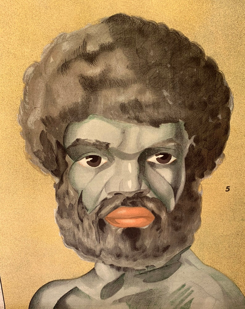 Human Races Chart Anthropology Print Ethnology Chart Human - Etsy