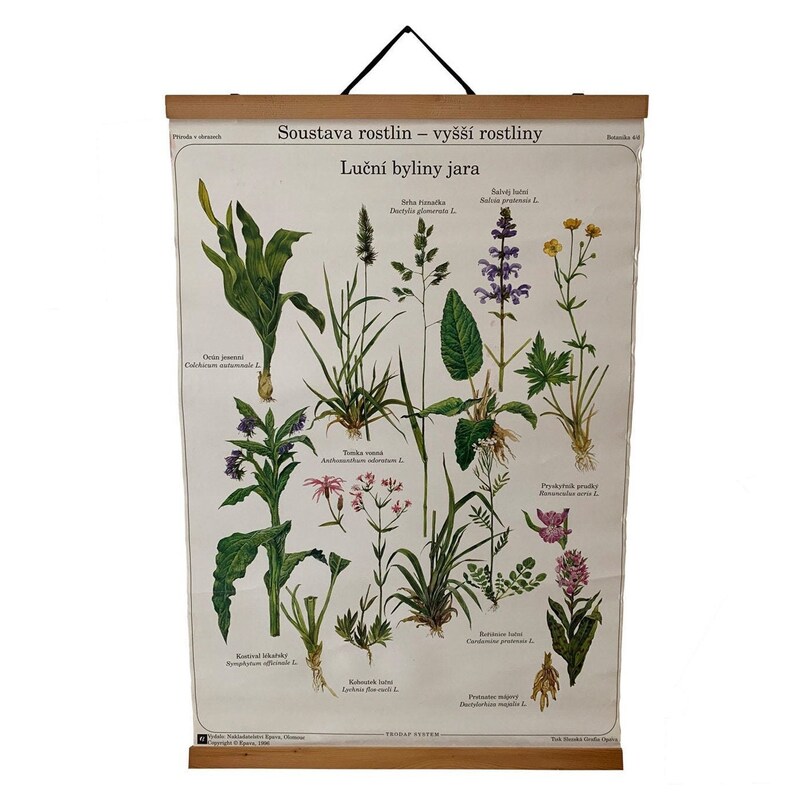Wall Hanging Botanical Chart - Etsy