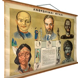 Human Races Chart, Anthropology Print, Ethnology Chart, Human School ...