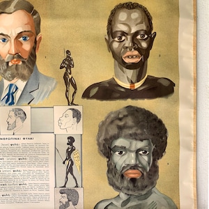 Human Races Chart, Anthropology Print, Ethnology Chart, Human School ...