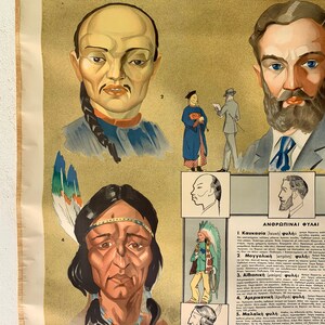 Human Races Chart, Anthropology Print, Ethnology Chart, Human School ...
