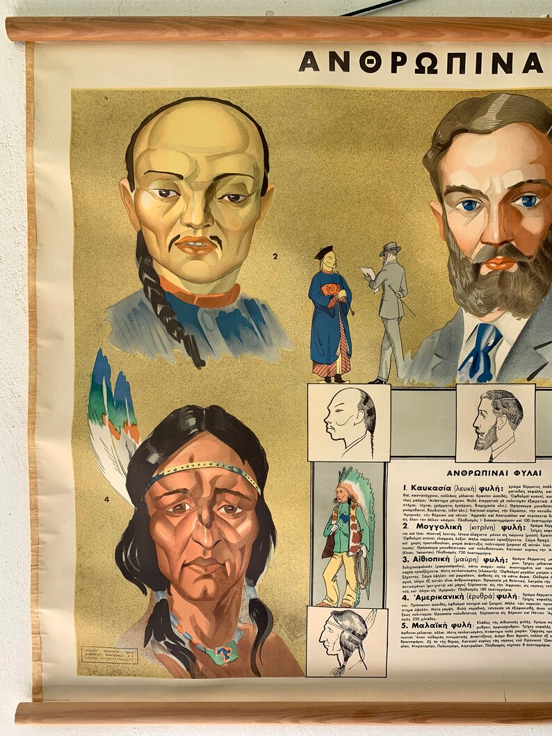 Human Races Chart Anthropology Print Ethnology Chart Human - Etsy