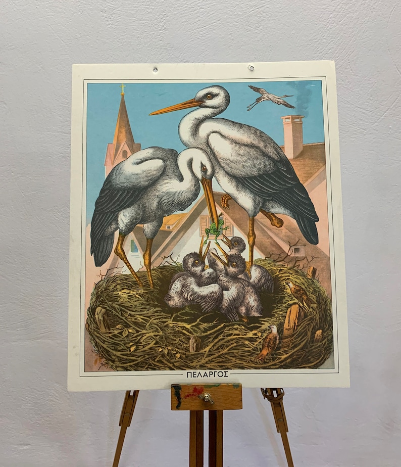 Vintage Storks School Chart: Original Cardboard Nursery Print - Etsy