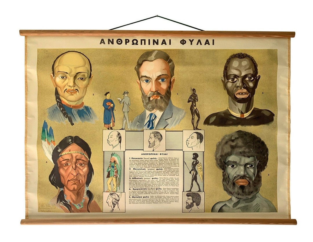 Human Races Chart, Anthropology Print, Ethnology Chart, Human School ...