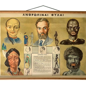 Human Races Chart, Anthropology Print, Ethnology Chart, Human School ...