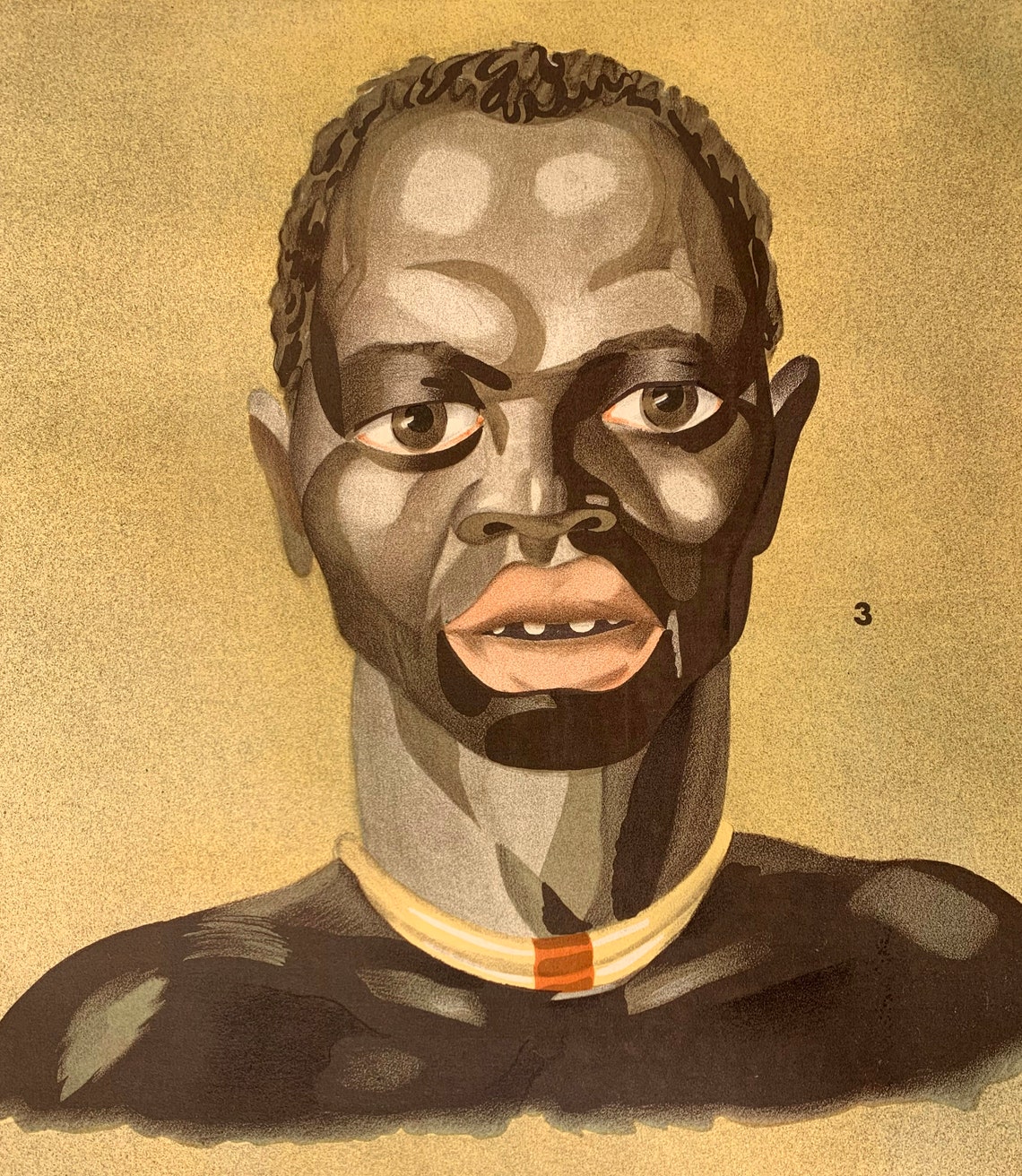 Human Races Chart Anthropology Print Ethnology Chart Human - Etsy