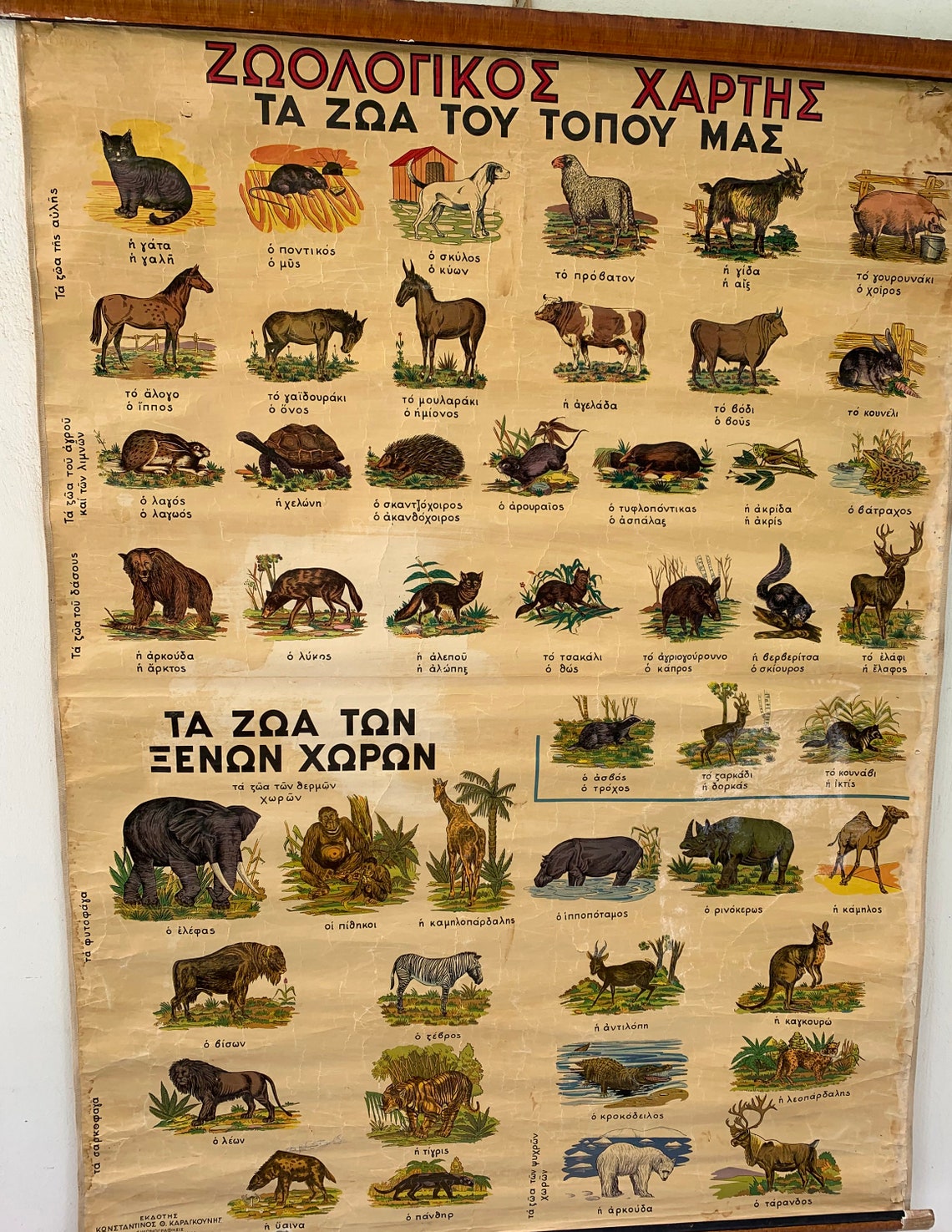 Vintage Zoology Chart Animals of Greece Pull Down School | Etsy