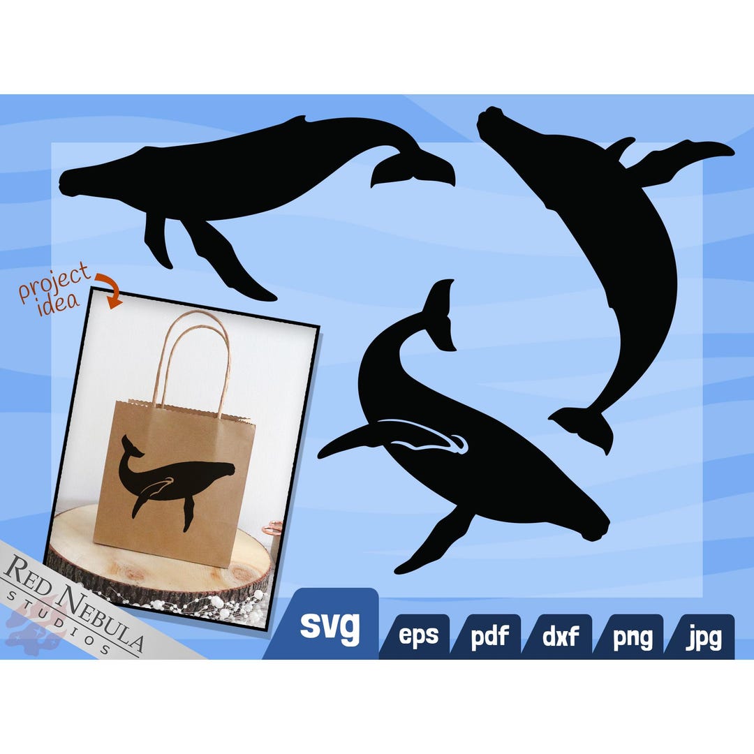 Humpback Whale SVG Clipart Set 3 Svg Png Dxf Eps Jpg Pdf Good for Vinyl ...