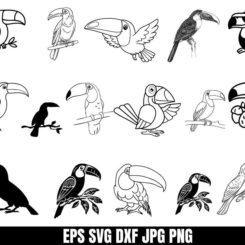 Toucan Svg - Etsy
