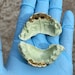 Real Solid 22K Gold Custom Grillz Teeth Grills or Single One Tooth Cap ...