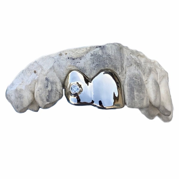 Flipper Tooth - Etsy