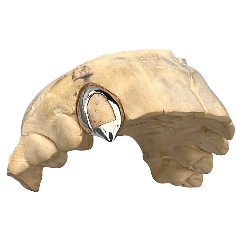 10K/14K Gold Custom Fang Grillz, Vampire Canine Tooth Cap - Etsy