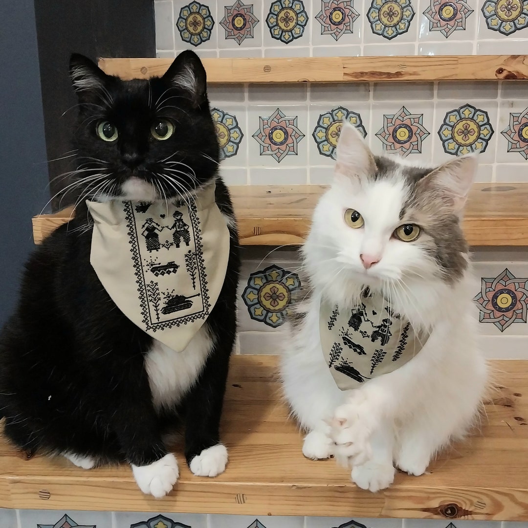 President Zelensky Vyshyvanka for Cats and Dogs - Ukrainian National ...