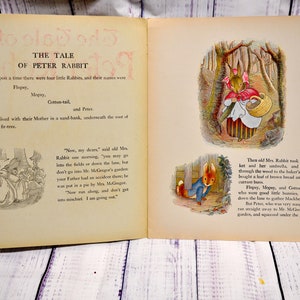 Rare the Tale of Peter Rabbit Platt & Munk Co First Edition Oversized ...