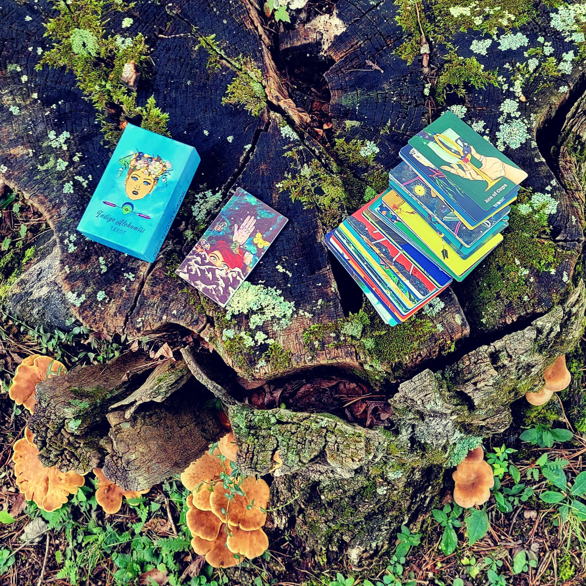 INDIGO ALCHEMIST TAROT - Etsy