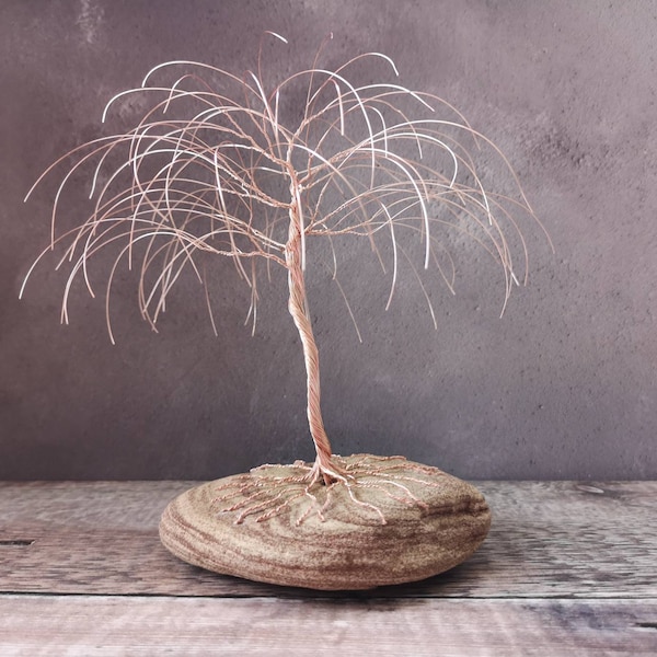Weeping Willow Bonsai - Etsy