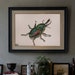 Bug Wall Art Stag Beetle Art Print Dark Academia Decor | Etsy