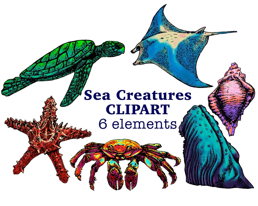 Sea Creatures Clipart Ocean PNG Underwater Clip Art Set - Etsy