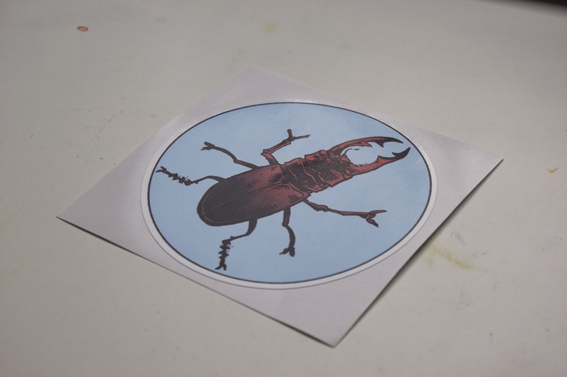 Vinyl Sticker with beetle bug laptop decal | Etsy