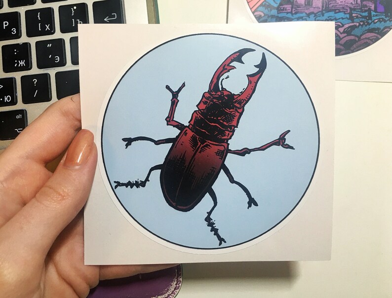 Vinyl Sticker with beetle bug laptop decal | Etsy