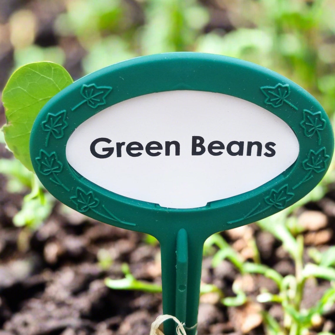 Plant Marker | Garden Markers | Vegetable Collection - Etsy