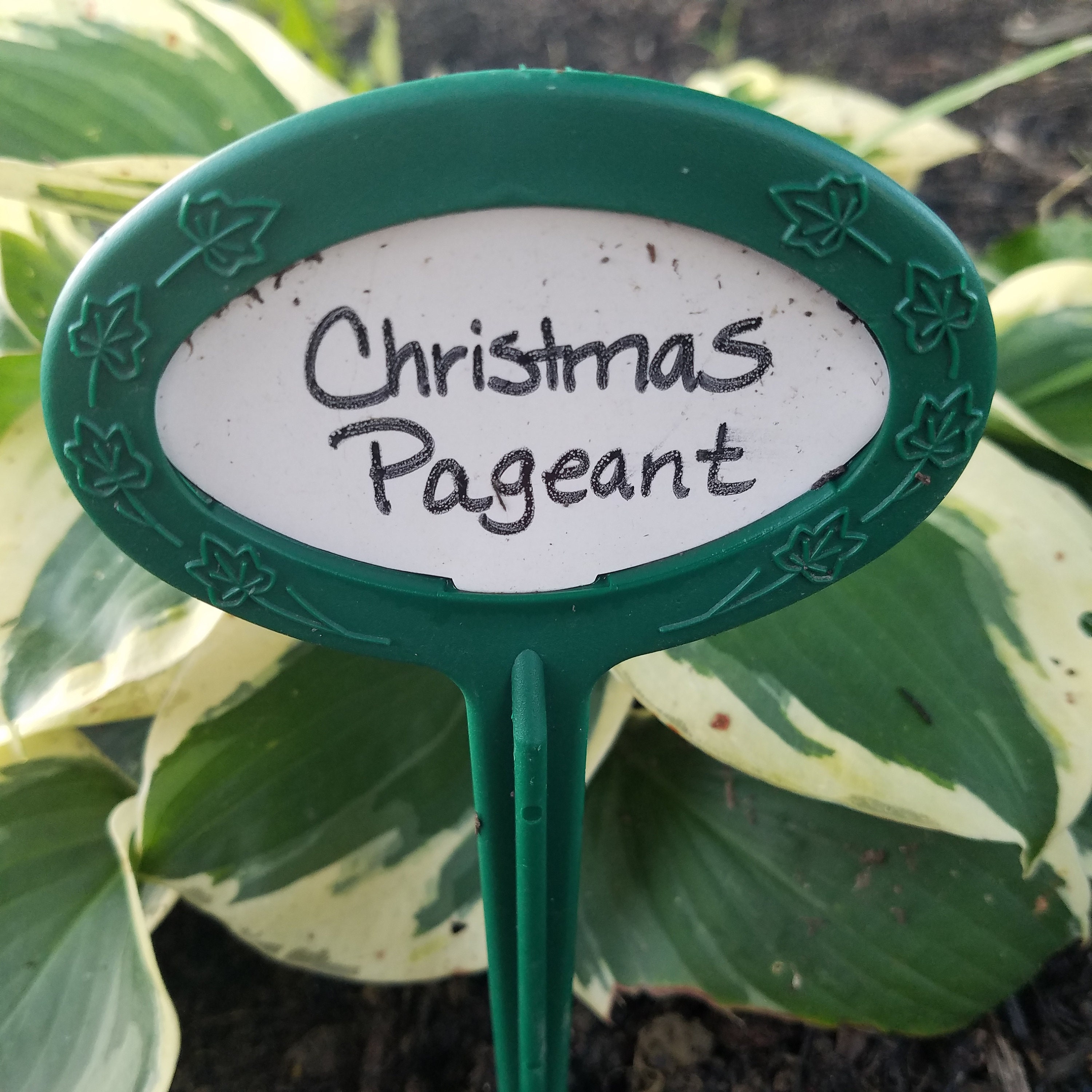 Plant Marker / Garden Markers Set of 20 - Etsy