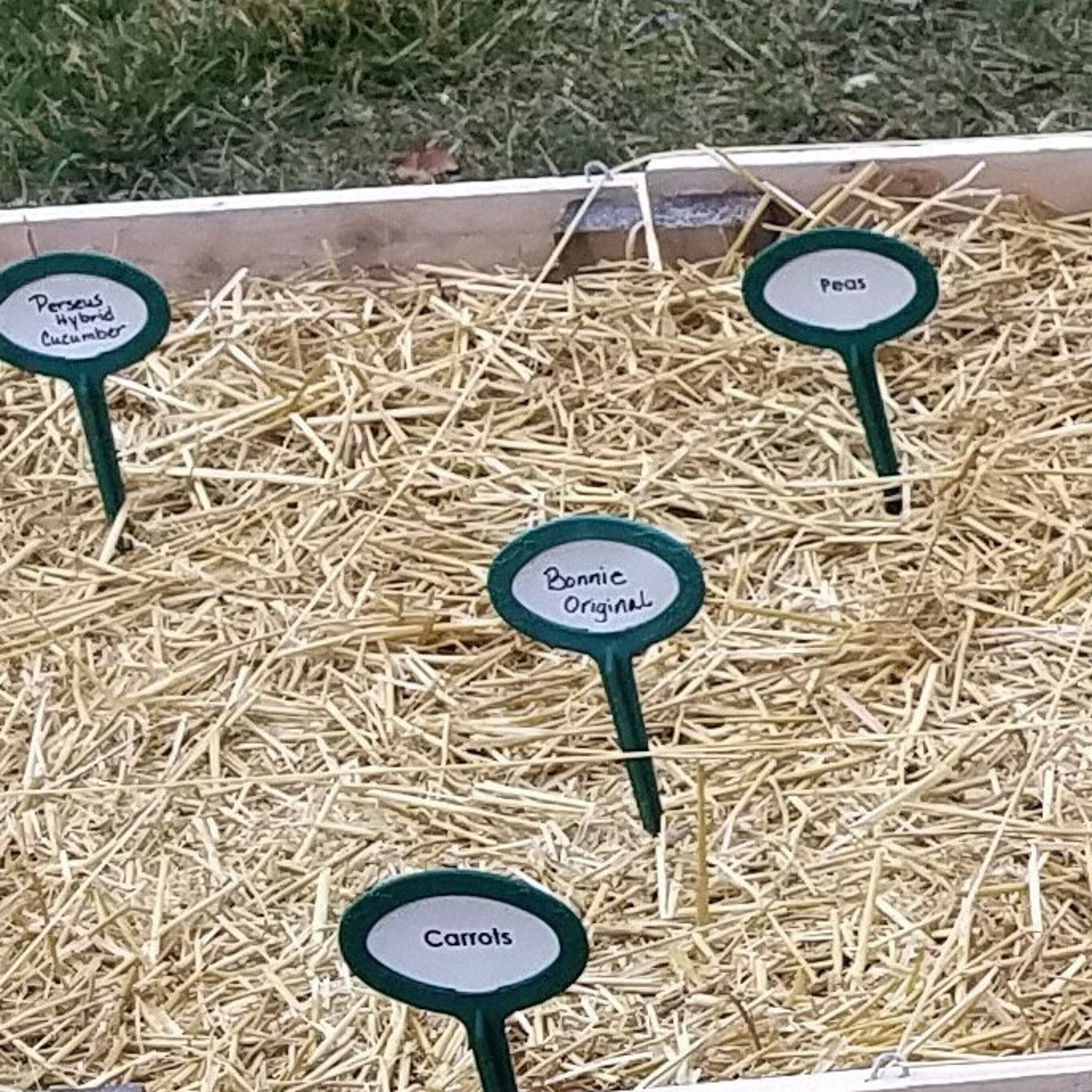 Plant Marker | Garden Markers | Vegetable Collection - Etsy