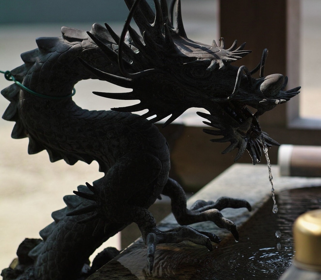 Dragon Healing Energy Clearing - Etsy