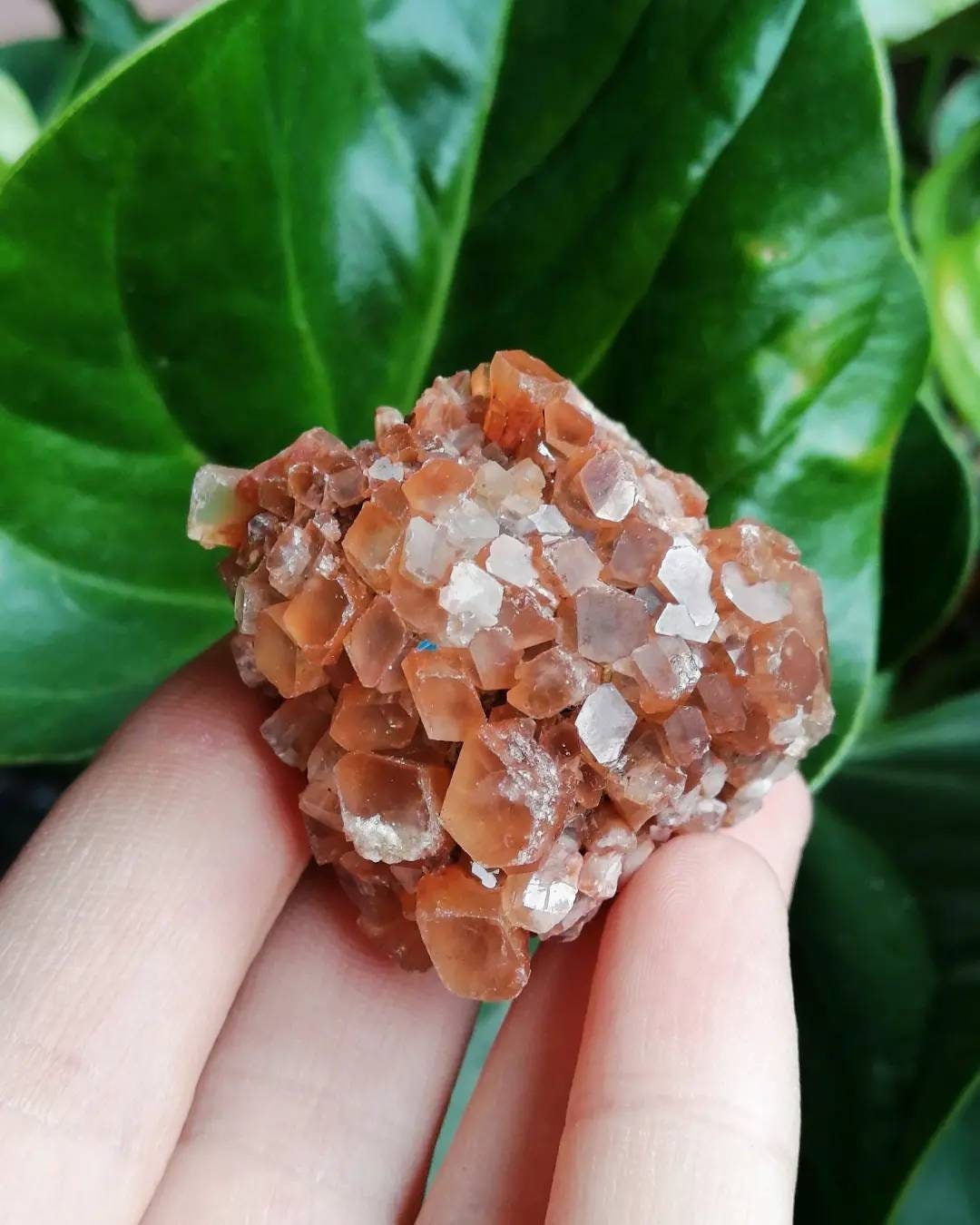 Aragonite Star Cluster. Raw Cluster. Healing Crystals. Raw - Etsy