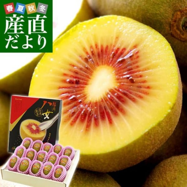 The Pink Koshu Grapes of Japan (yamanashi ) > 7 Fresh Seeds , Already ...