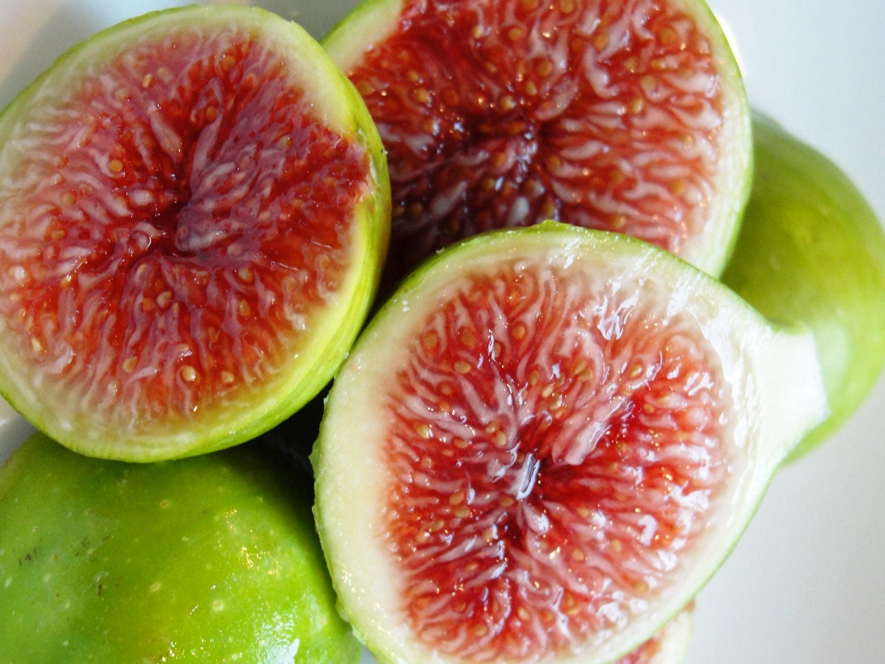 Collection of 10 Rare Fig (ficus Carica) Varieties SEEDS for Planting ...