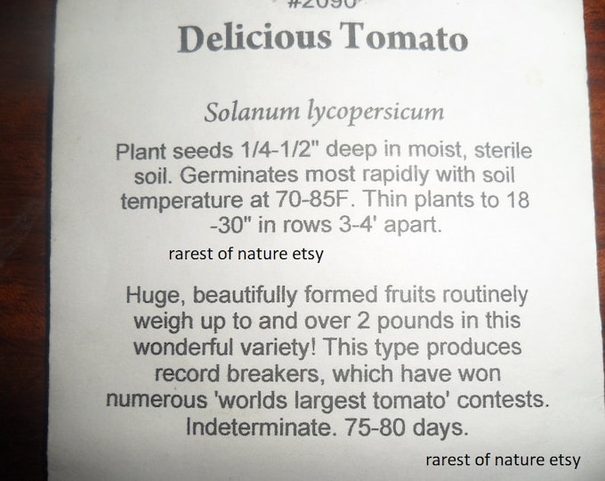 Japan Kurume Kuromitsu Fig Ficus Carica Sp. Kuromitsu 15 Fresh Seeds ...