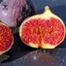 Japan Kurume Kuromitsu Fig > Ficus Carica Sp. Kuromitsu > 15 Fresh ...