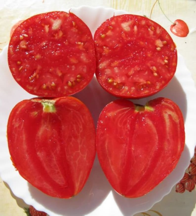 One of the Best and Largest Tomatoes Native Buffalo Heart | Etsy