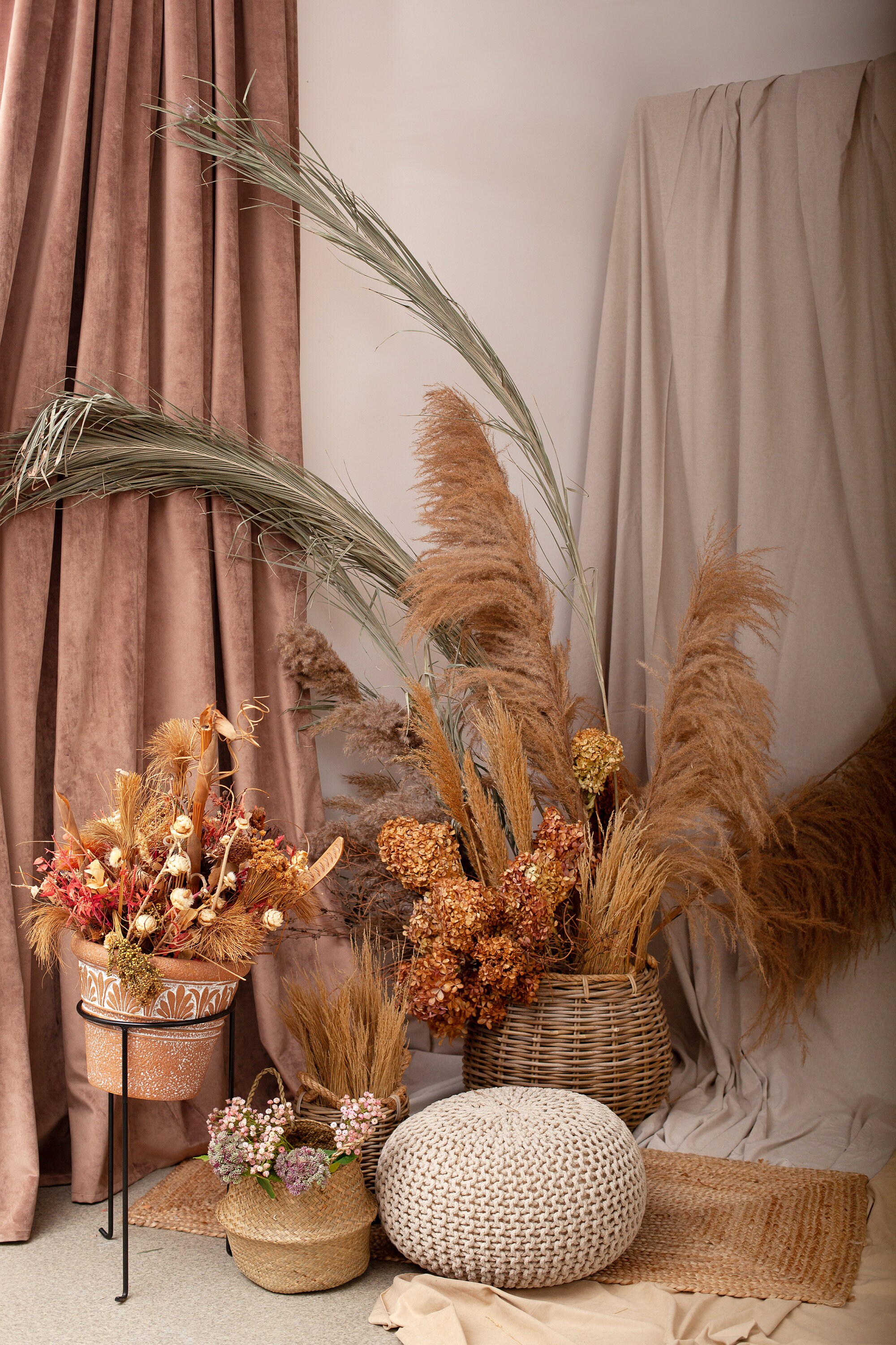 Pampas Grass3pc Pampas Grass Dried Pampas Grass Decor Etsy