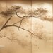 Beautiful Meditation Zoom Background | Zoom Background Office | Zoom ...