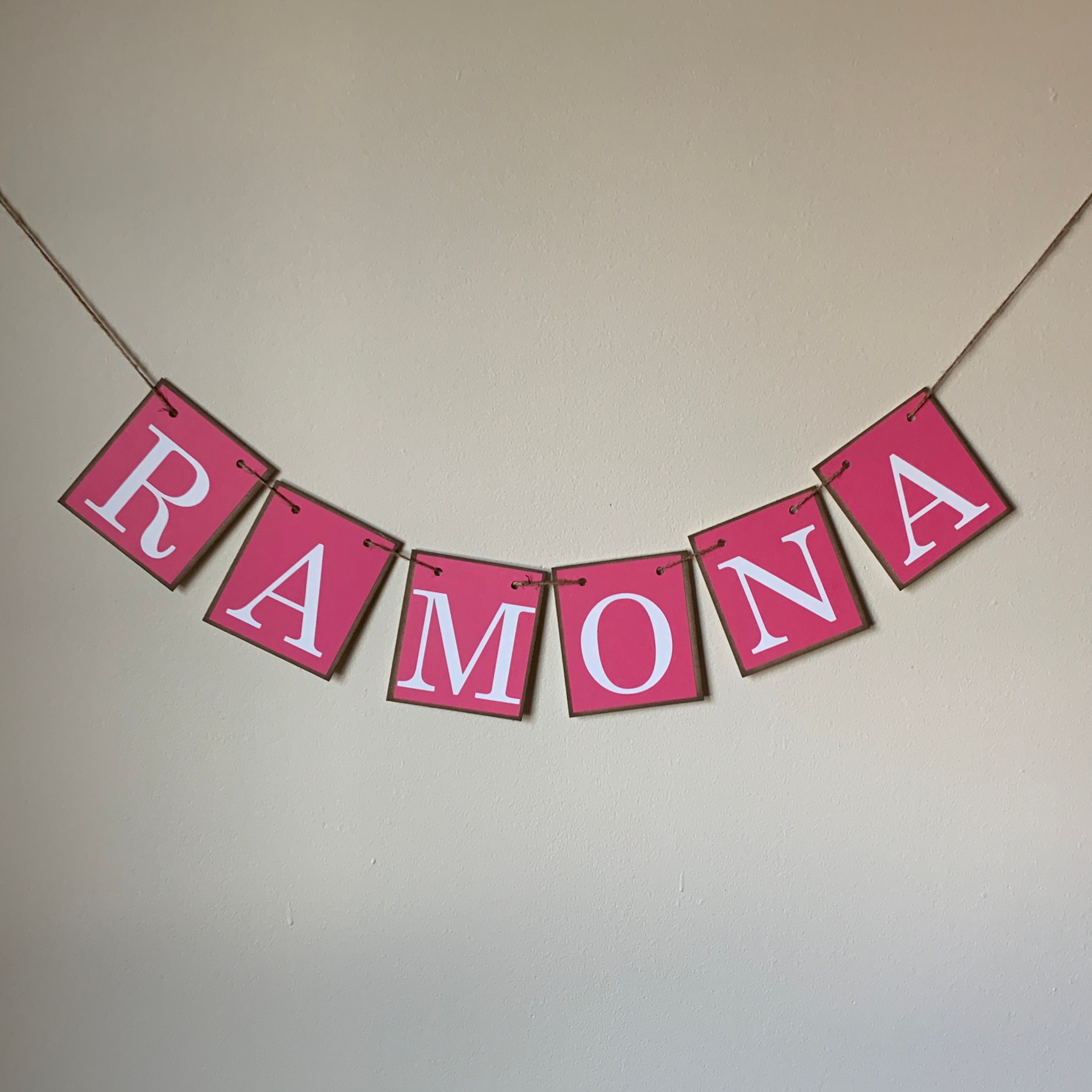 Baby Girl Personalized Name Banner Distressed Farmhouse Shower Nursery ...