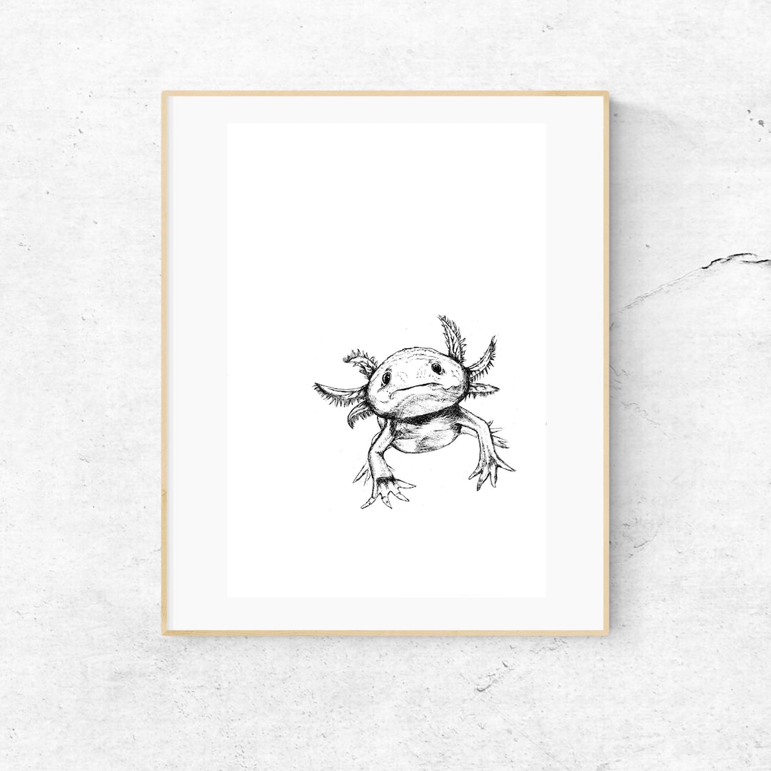 Axolotl Illustration. Cute Axolotls Print. Axolotle Nursery Art Print ...