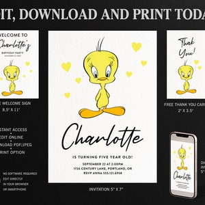 Tweety Bird Birthday Invitation, Boy and Girl Birds Birthday Party ...