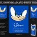 Sonic Birthday Party Invitation, Sonic the Hedgehog Invitation, Sonic ...