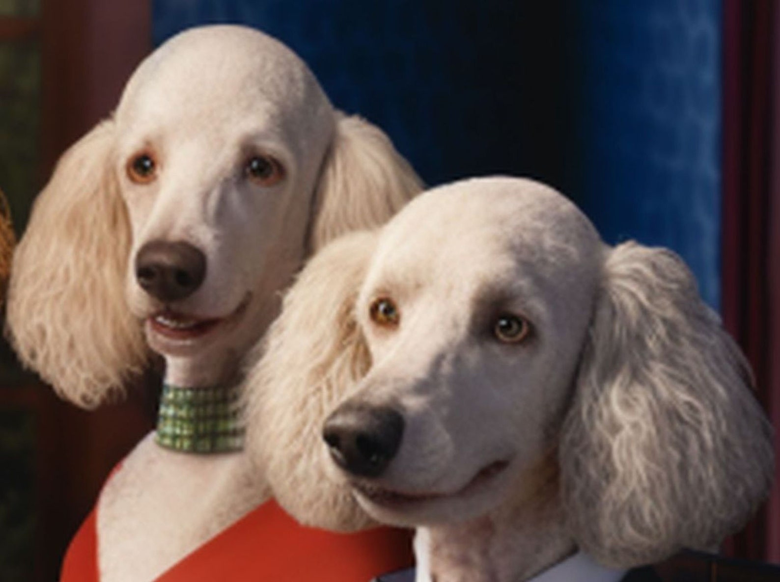 Poodles Playing Poker. Dogs, Cards - Etsy